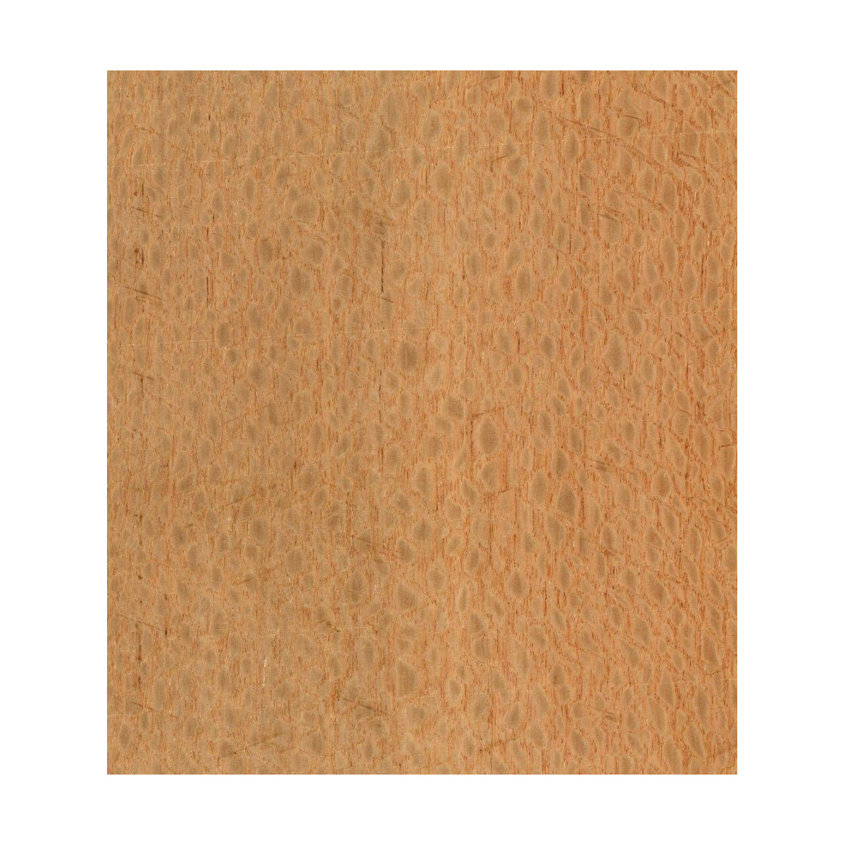 Placage naturel 06
